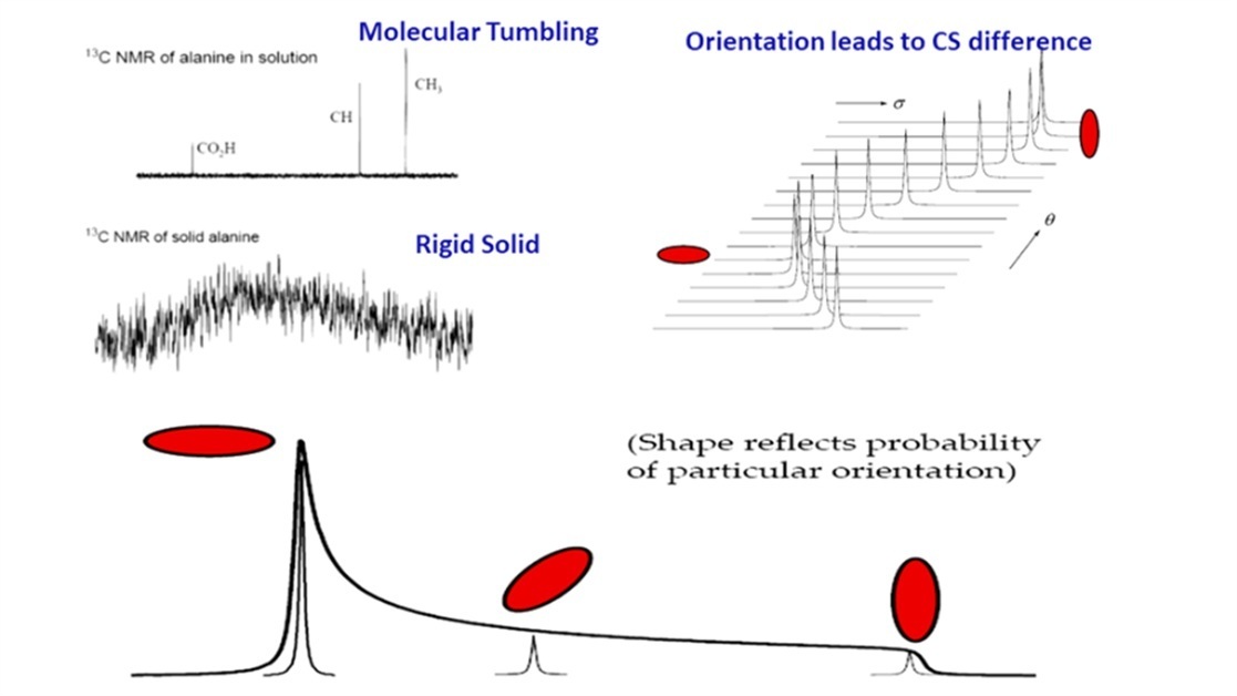 Solid-State NMR Analysis: crystalpharmatech